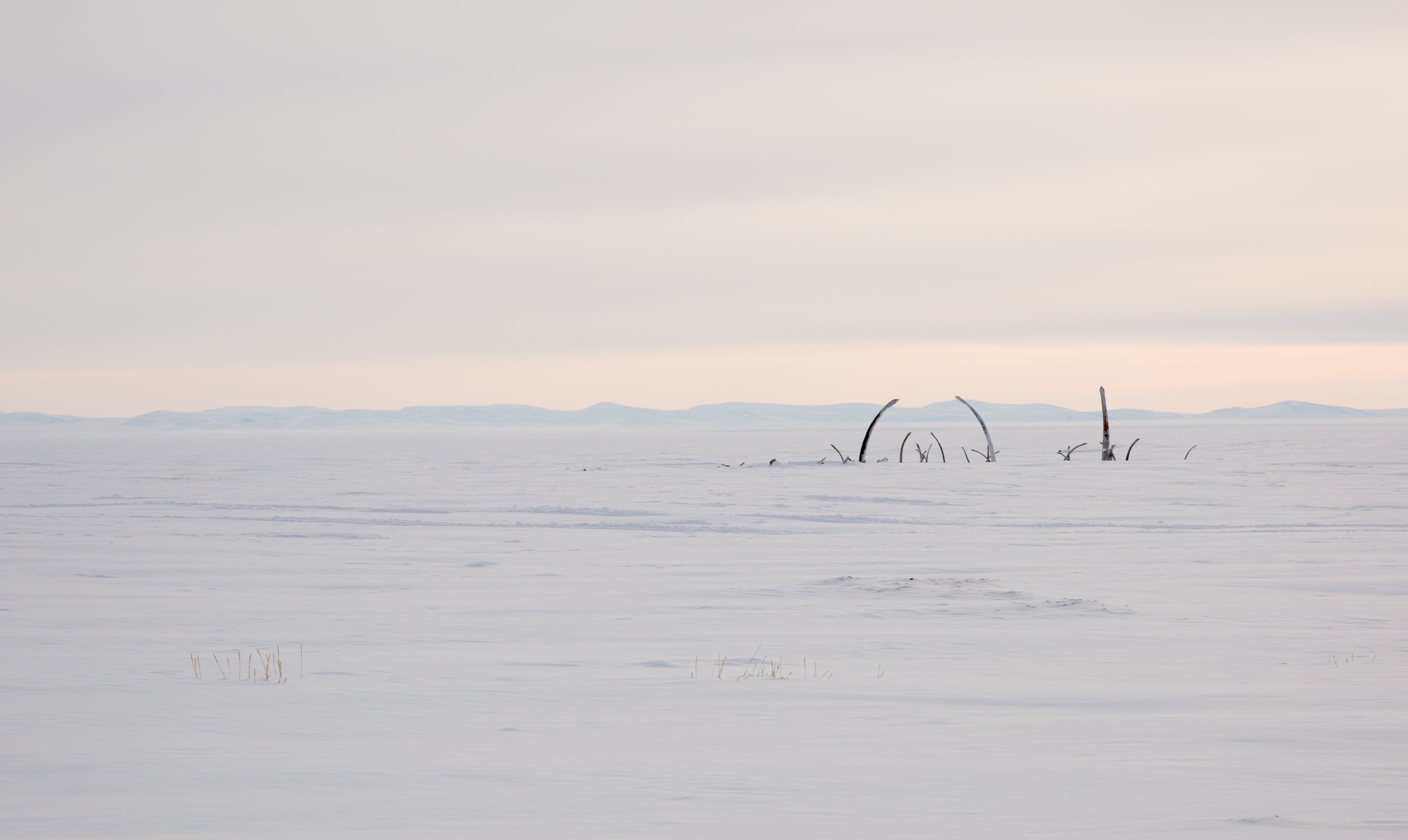 The Twelve Regions - ANCSA Regional Association