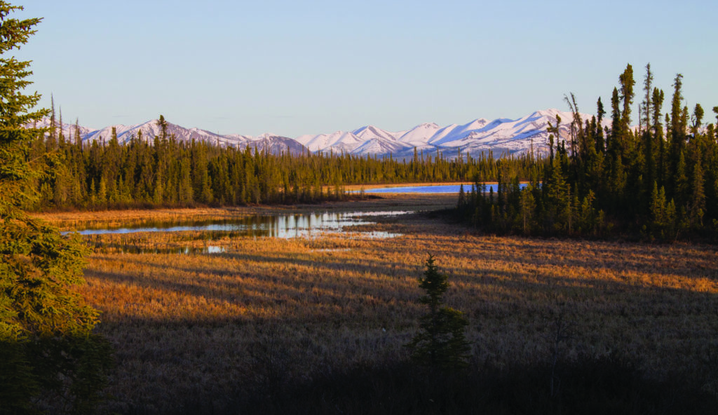 Ahtna, Incorporated - ANCSA Regional Association