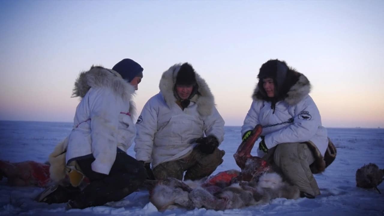 Ahtna, Incorporated - ANCSA Regional Association